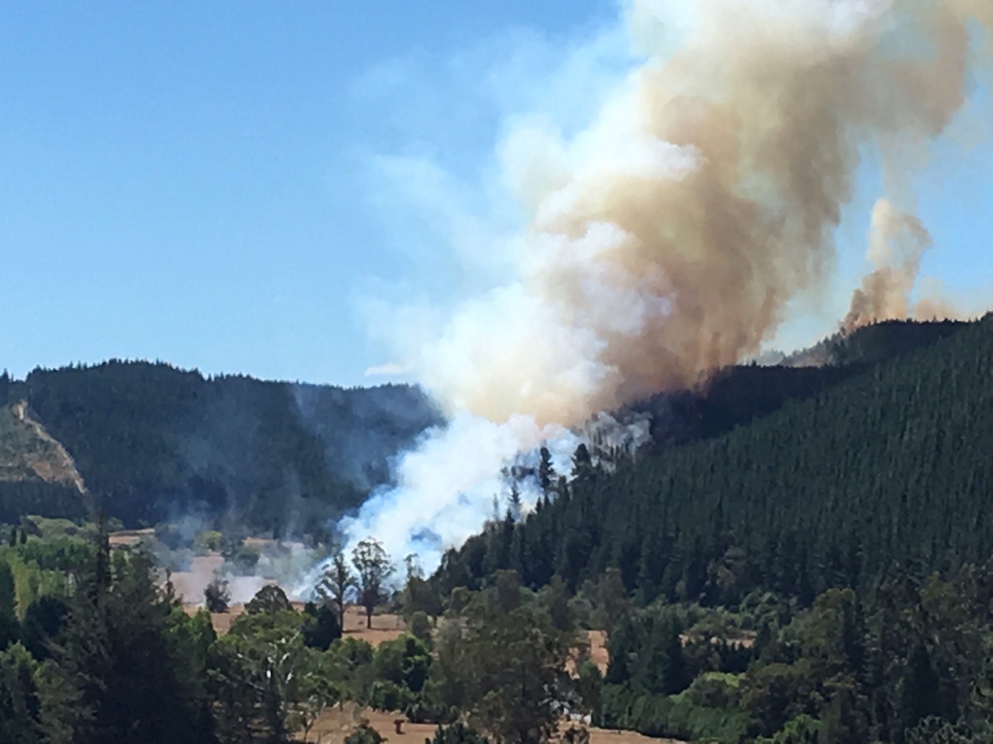 Fire ravages Pigeon Valley near Nelson | A Gallery from News | RNZ