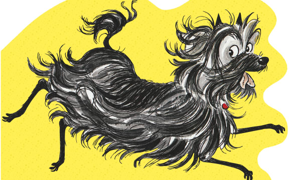 Donaldson's Dairy doppelgangers needed for Hairy Maclary's 40th | RNZ