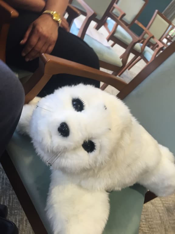 Paro the robotic seal | A Gallery from This Way Up | RNZ National
