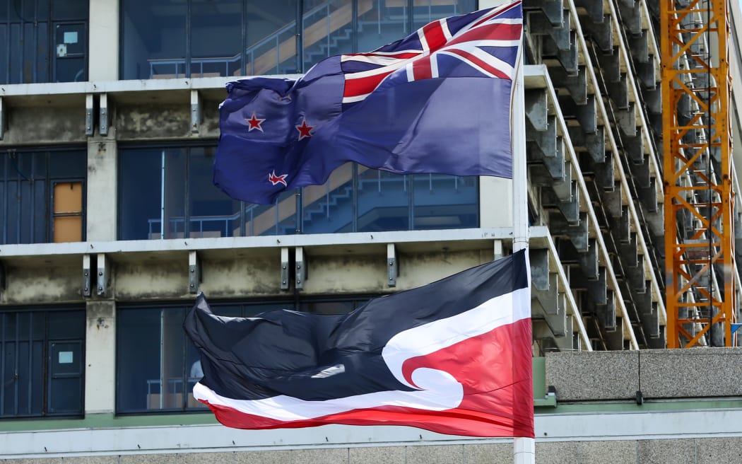 Councils, iwi debate flags for Waitangi Day | RNZ News