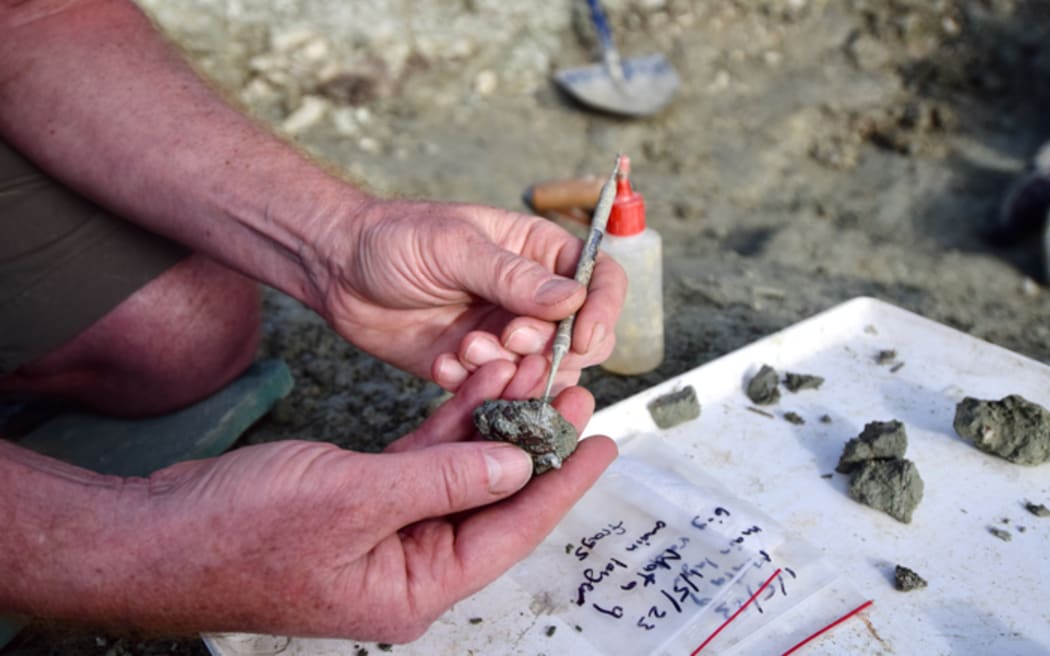 Long Read: Bone Hunters | RNZ