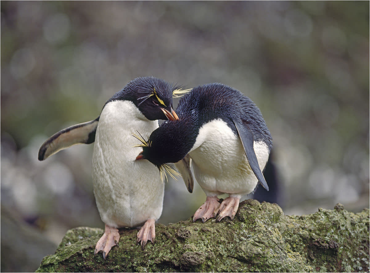 Andris Apse: photography and mystery | RNZ