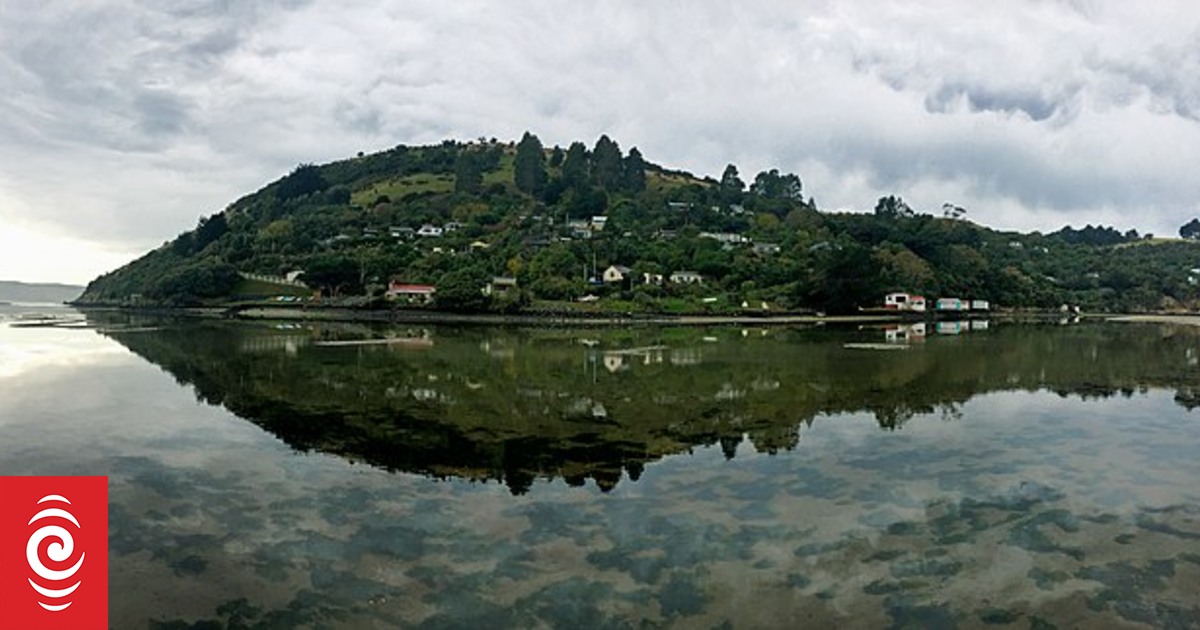 Science meets Māori knowledge at an ancient kūmara pit | RNZ