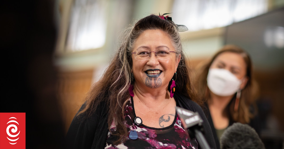 Former Green MP fires parting shots at co-leaders during final speech | RNZ