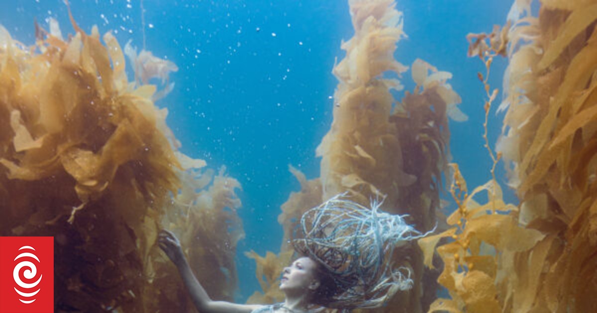 Lifting the lid on the lives of real life mermaids | RNZ