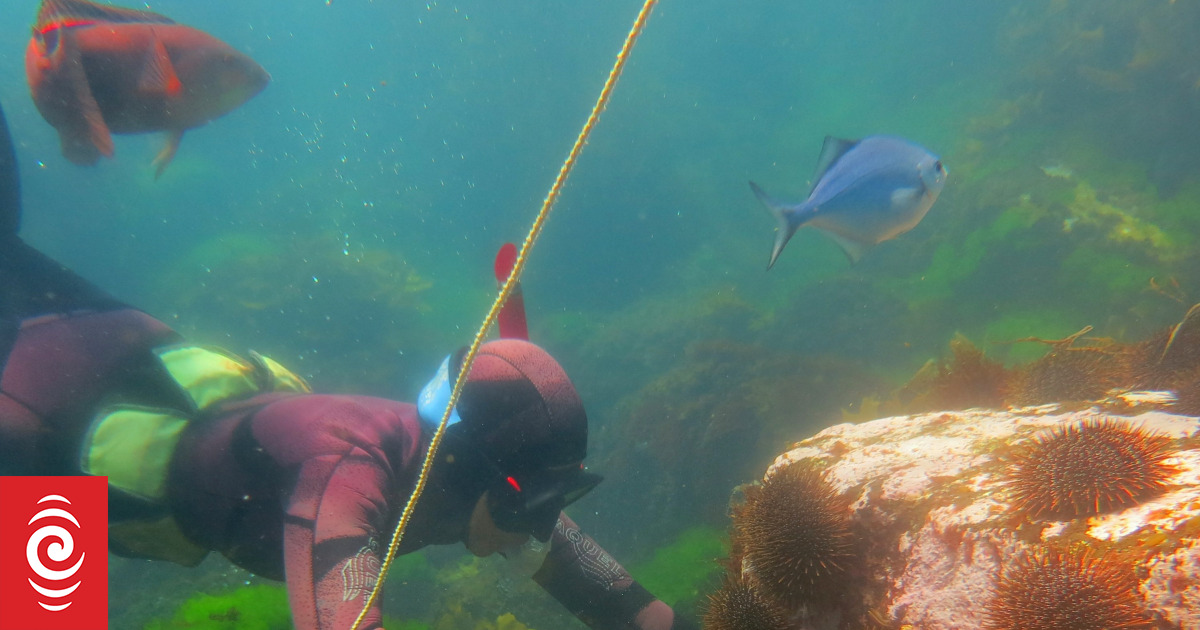 Mātauranga Māori in Aotearoa's science sector | RNZ