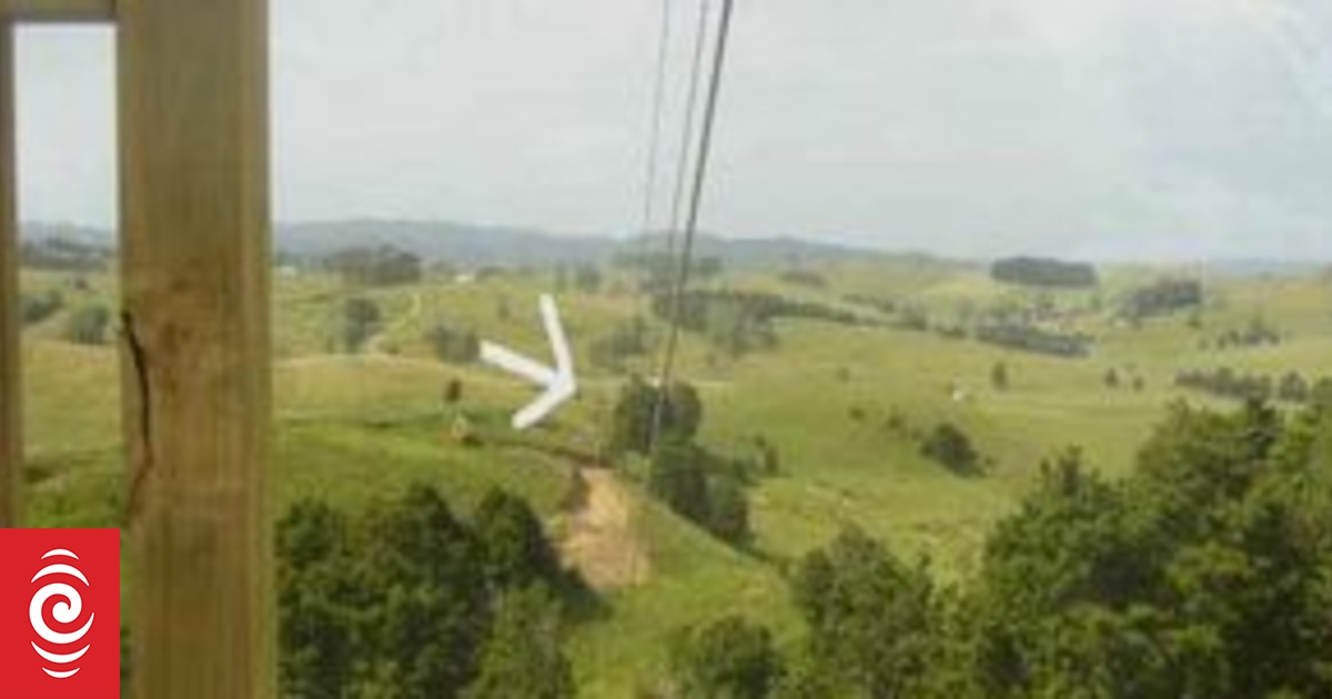 Worksafe investigating flying fox death | RNZ News