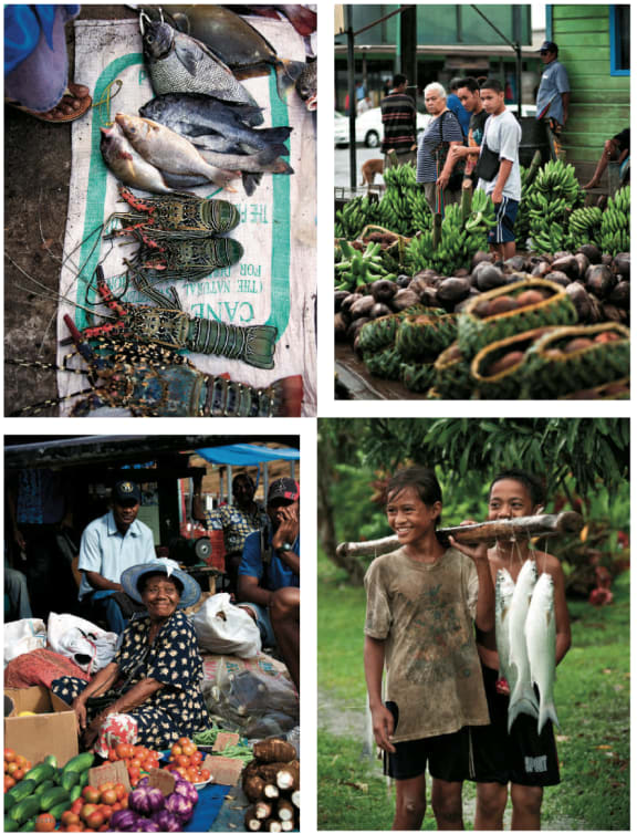 The Pasifika food revolution | RNZ