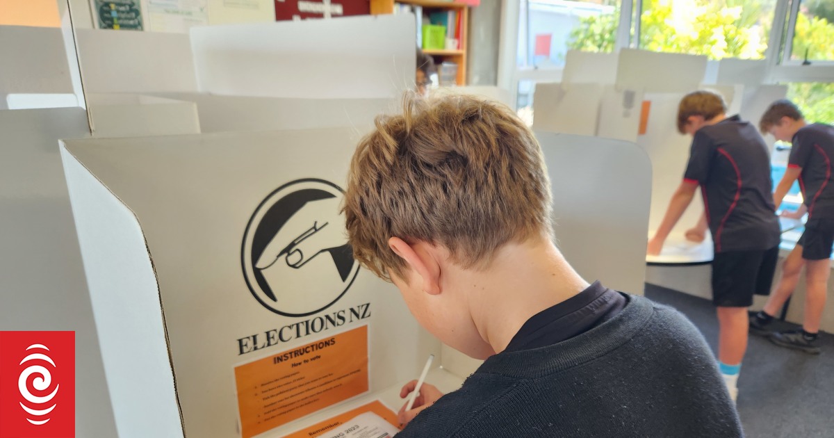 School students head to voting booths in mock election | RNZ News