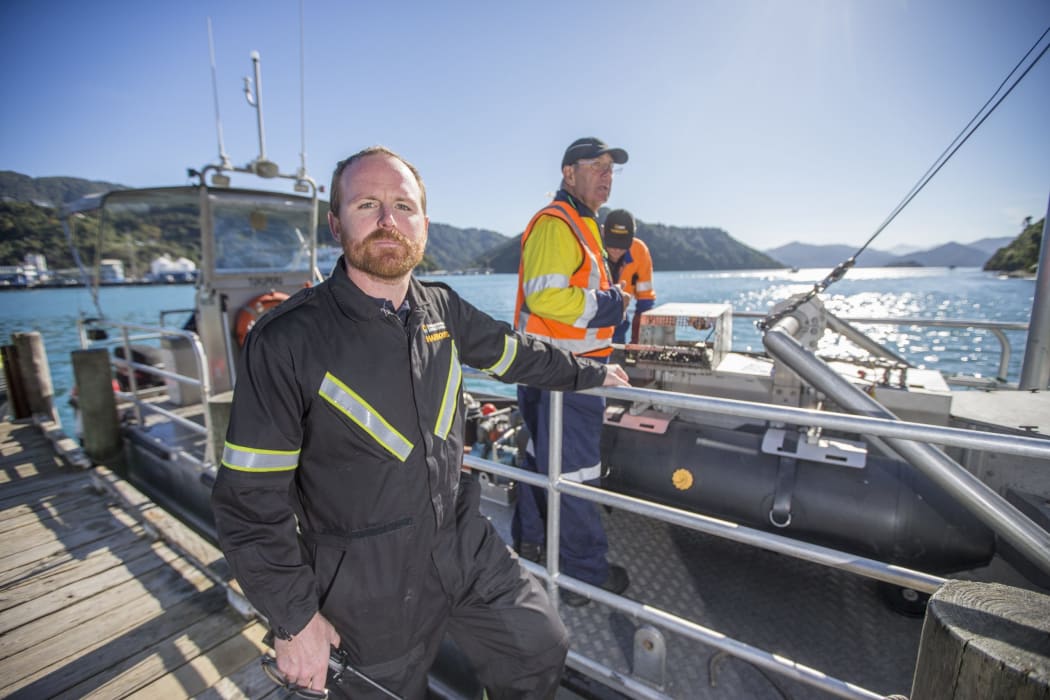 Tidal stations to help boaties understand Tory Channel currents | RNZ News