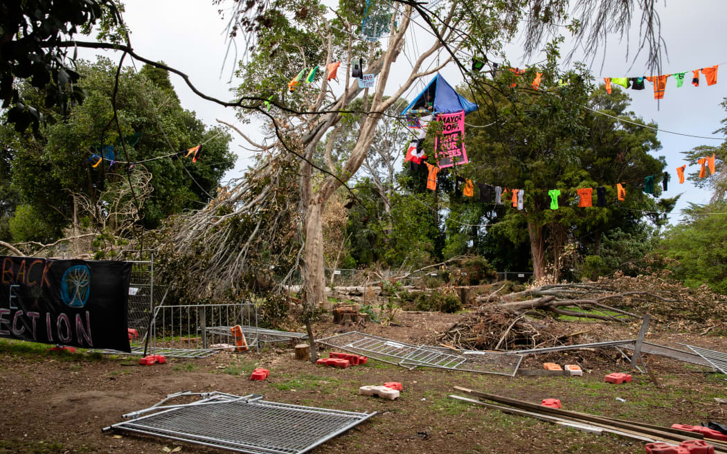 Canal Road tree protesters escape convictions in Auckland District ...