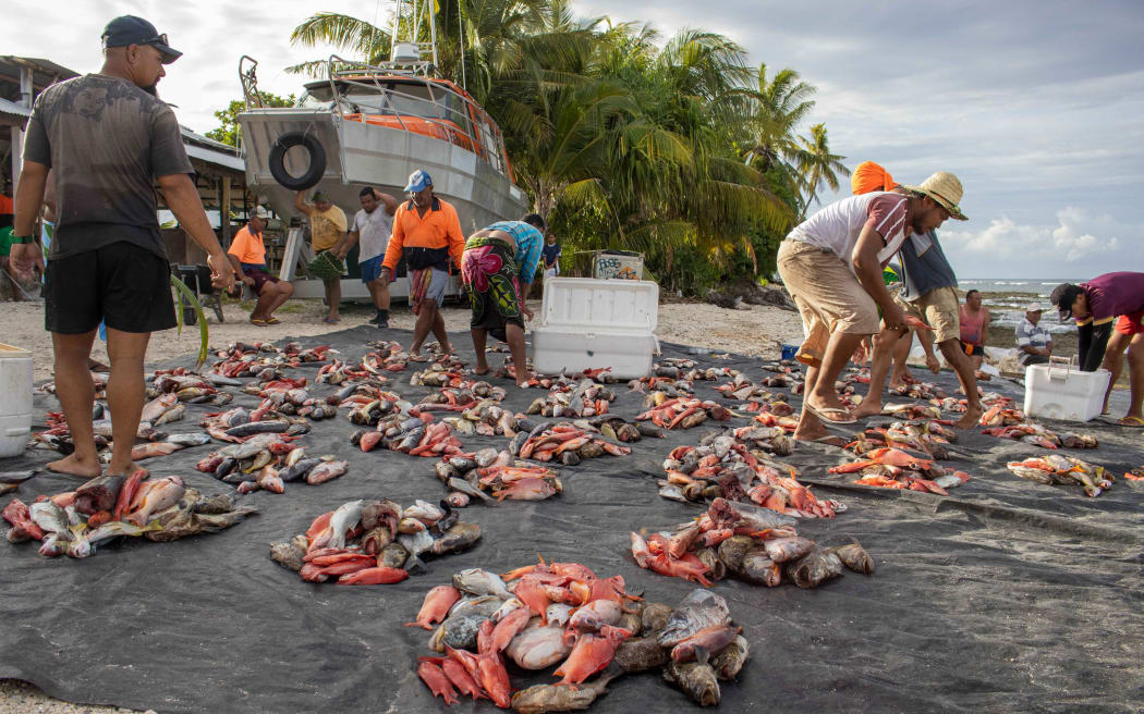 Tokelauan Fishing Quest: sharing adventure, food and tradition | RNZ News