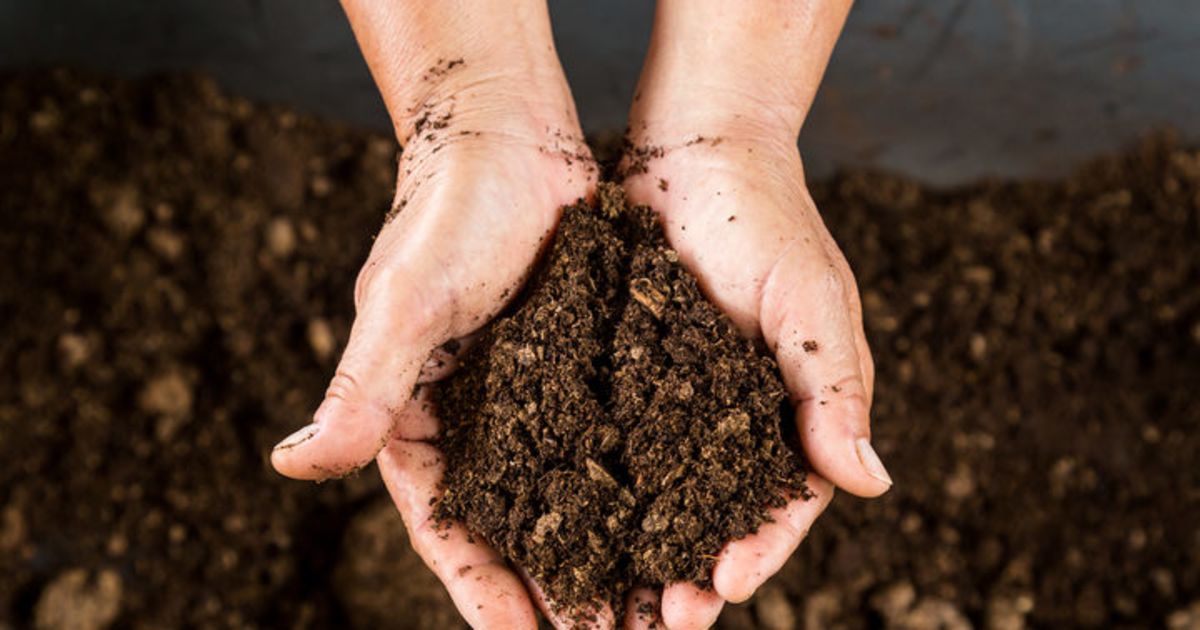 Human composting to begin in the US | RNZ