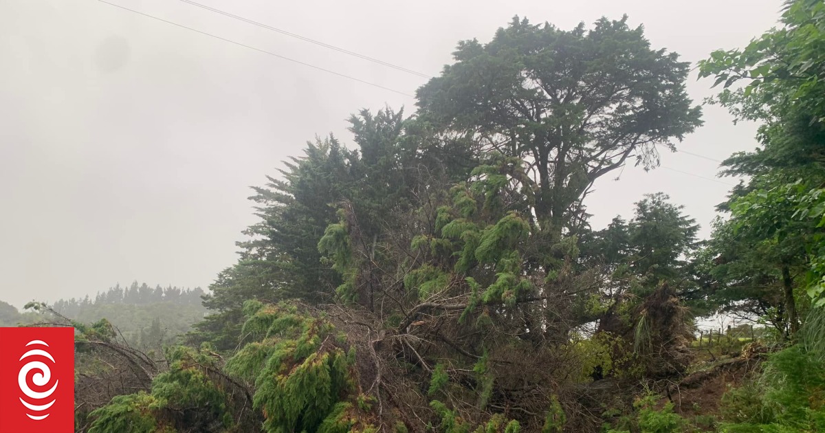 Cyclone Hale delivers more heavy rain for Coromandel | RNZ News