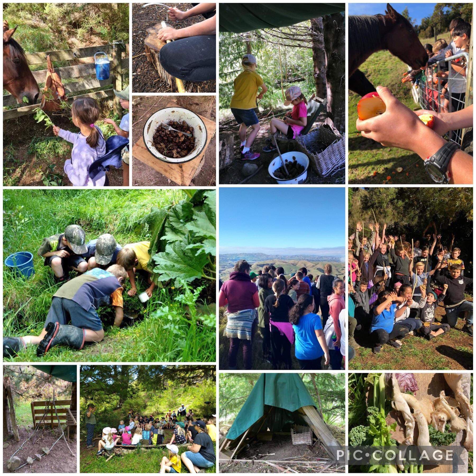 New Forest School: Education in nature | RNZ