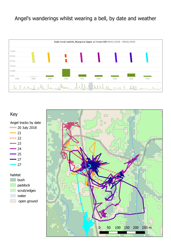 Cat Mapping | A Gallery from The Weekend | RNZ National