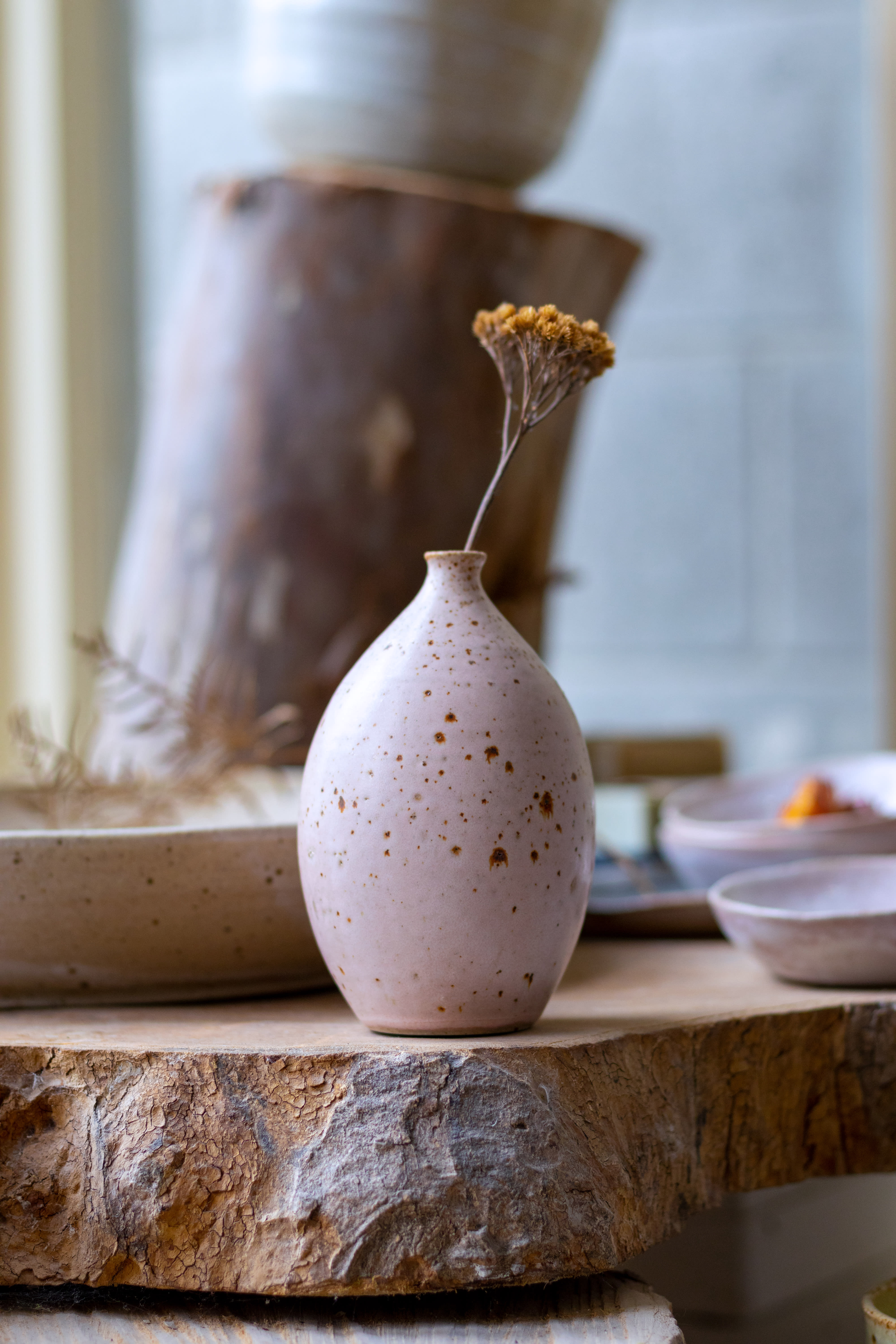 Nelson Clay Week - celebrating the region's potters | RNZ