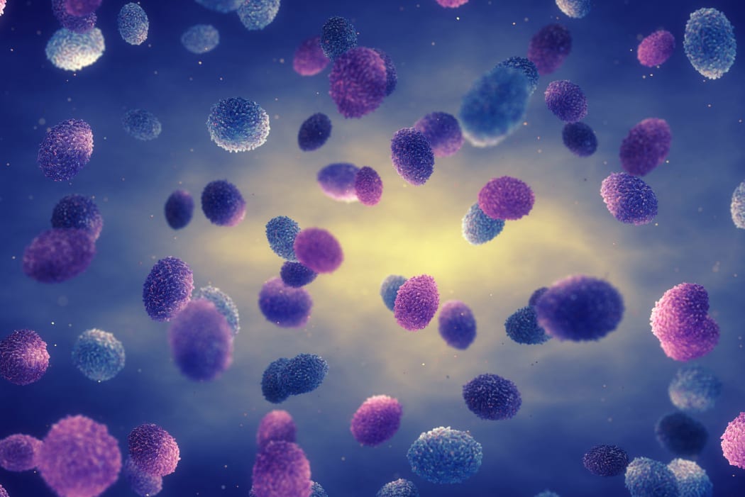 Monkey Pox in NZ | RNZ