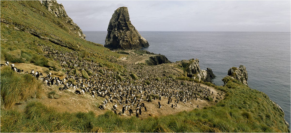 Andris Apse: photography and mystery | RNZ