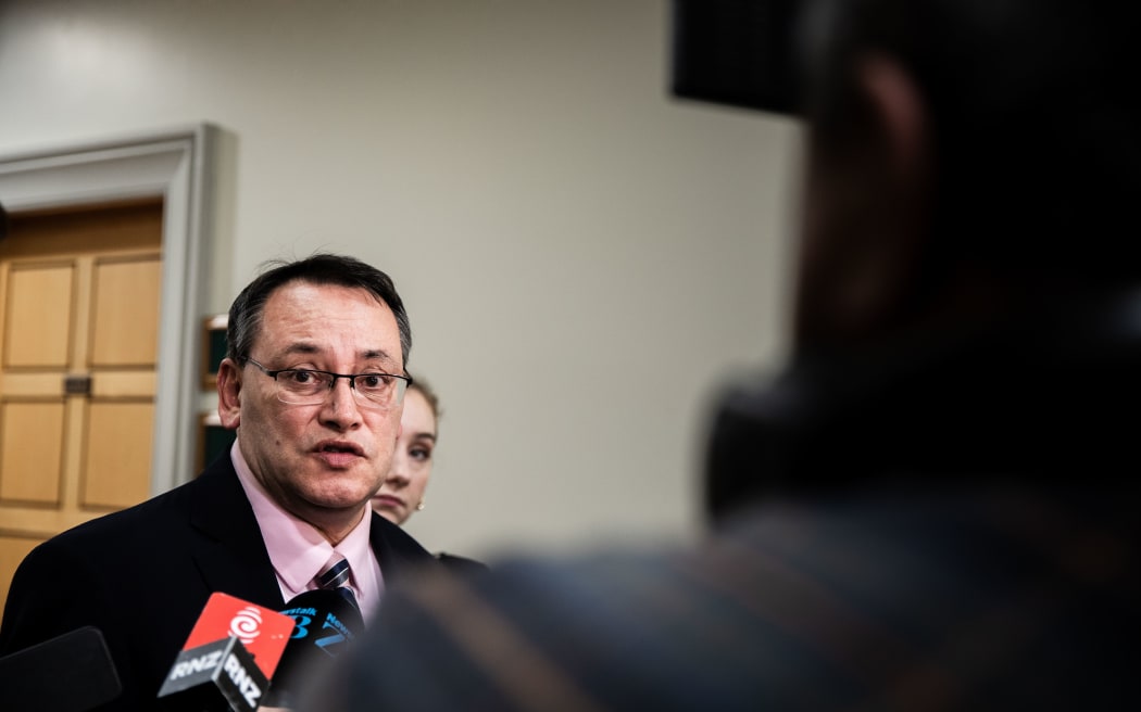 Ethnicity in health debate gets under MPs' skin | RNZ