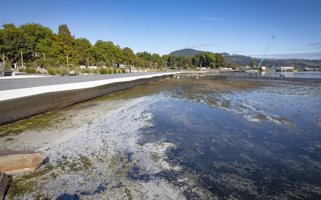 Rotorua rāhui to be put in place during weed control | RNZ News