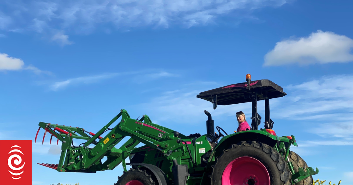 A cosy cabin and colourful farm | RNZ