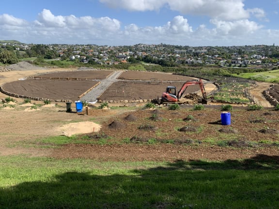 Building a Māori Garden in East Auckland | RNZ