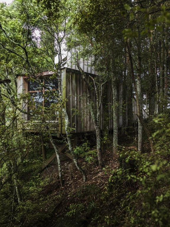 Media: Photographer Jane Ussher | RNZ