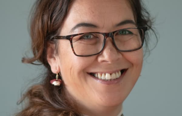 Revitalising te reo a three-generation process: Prof Rawinia Higgins | RNZ