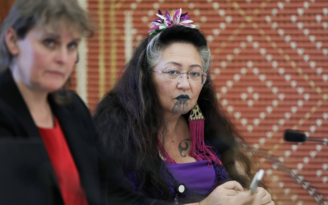 Green MP Elizabeth Kerekere calls Chlöe Swarbrick a 'crybaby' in group ...