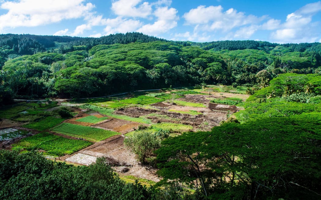 Decay and hope on Mangaia | RNZ News