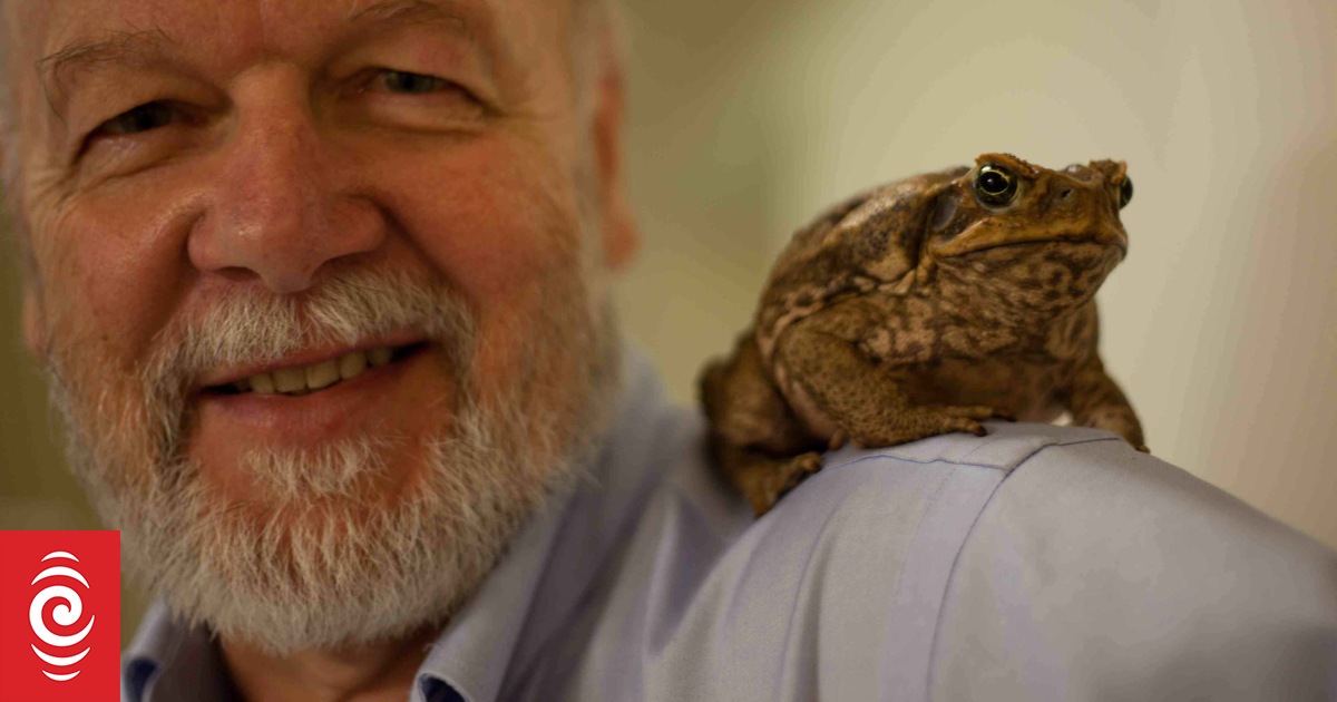 Cane Toads - Rick Shine | RNZ