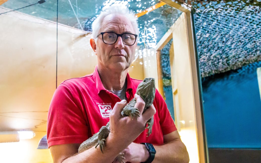 EcoWorld Aquarium’s ‘illegal occupation’ comes to an end | RNZ News