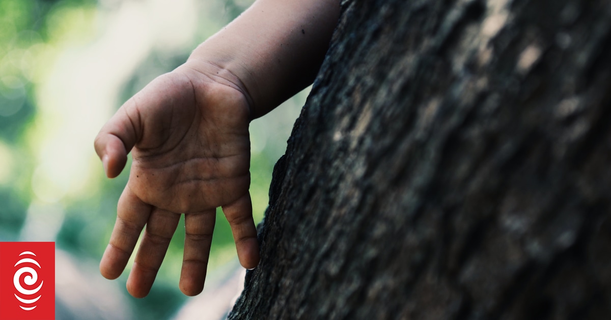 The Rights of the New Zealand Child | RNZ