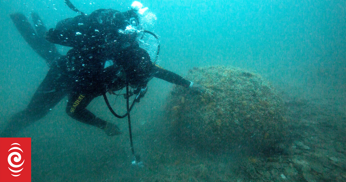 Navy exercise turns up real mines | RNZ News
