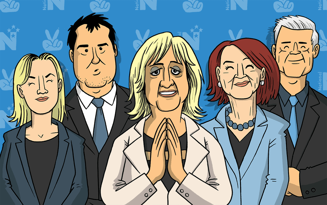 Toby & Toby: The National leader wannabes, digested | RNZ News