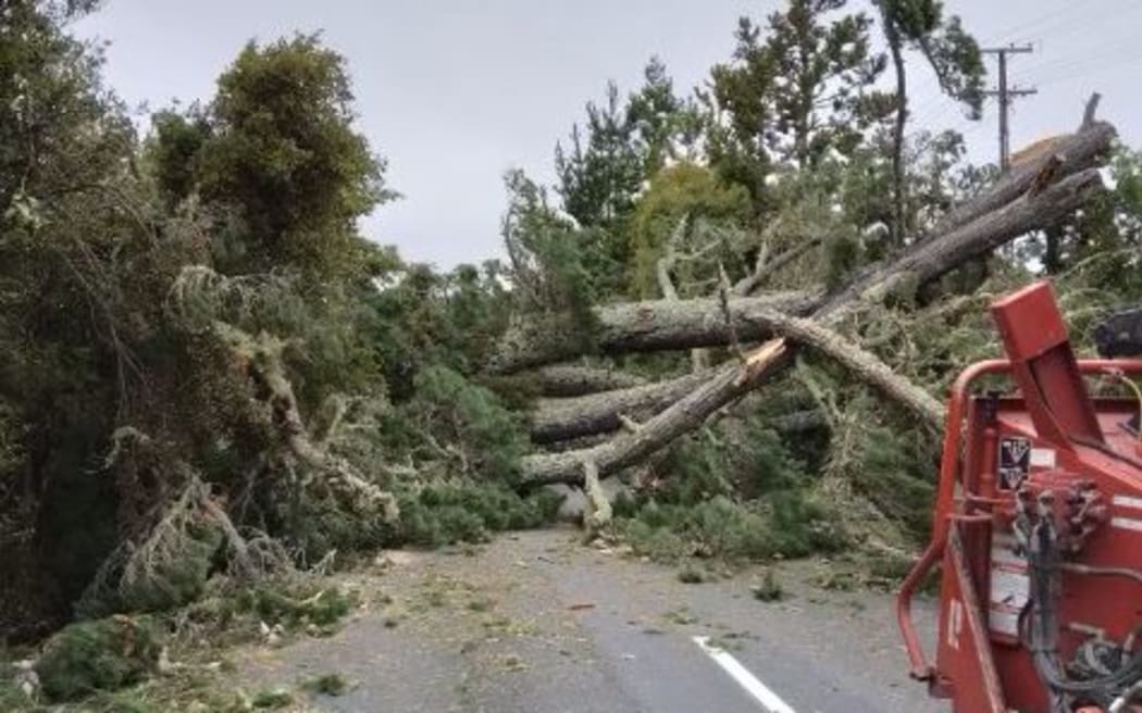Trees down and flooding, but Northland escapes worst of summer storm ...