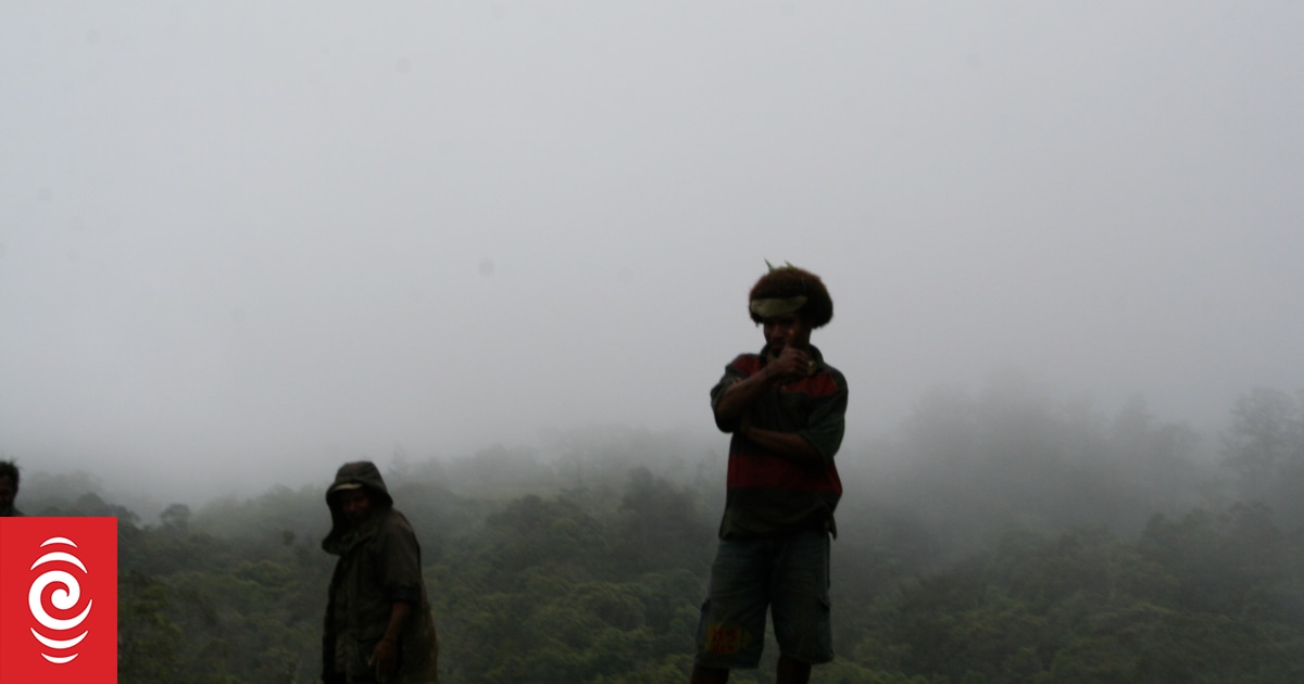 Tribal fighting kills 3 in PNG's Eastern Highlands | RNZ News
