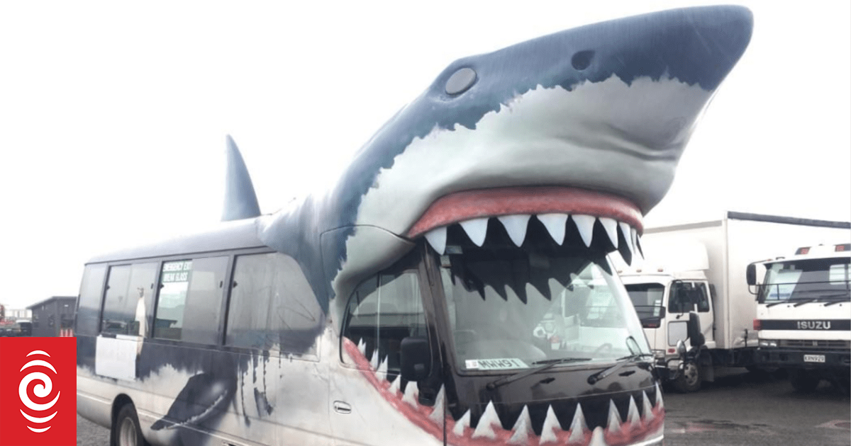 Shark Bus making waves on Trade Me | RNZ