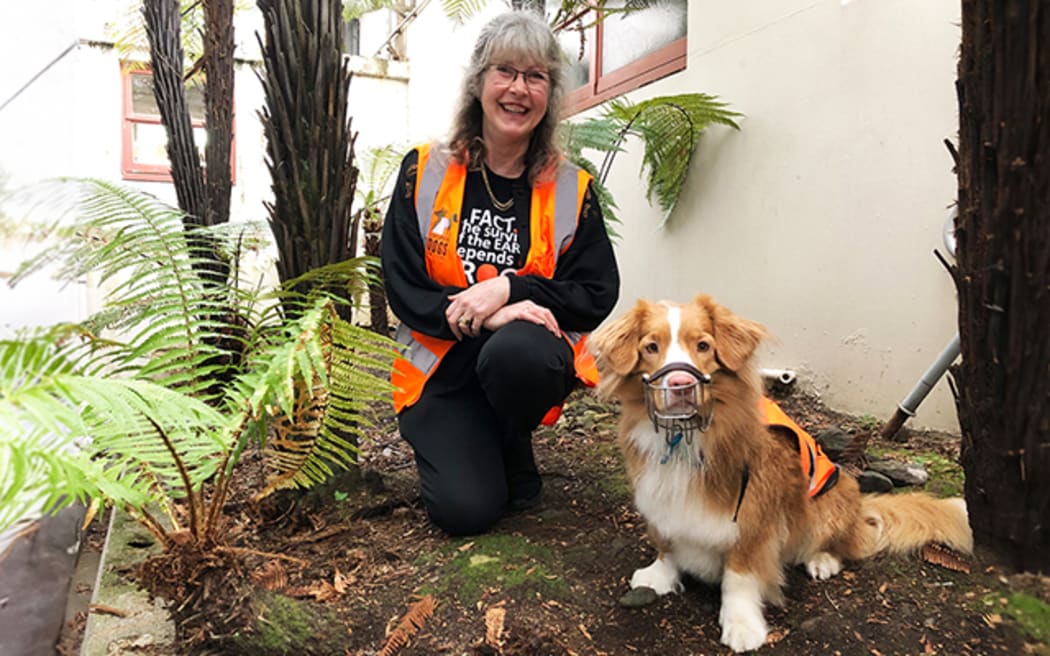 Afternoons for Thursday 3 August 2023 Afternoons | RNZ