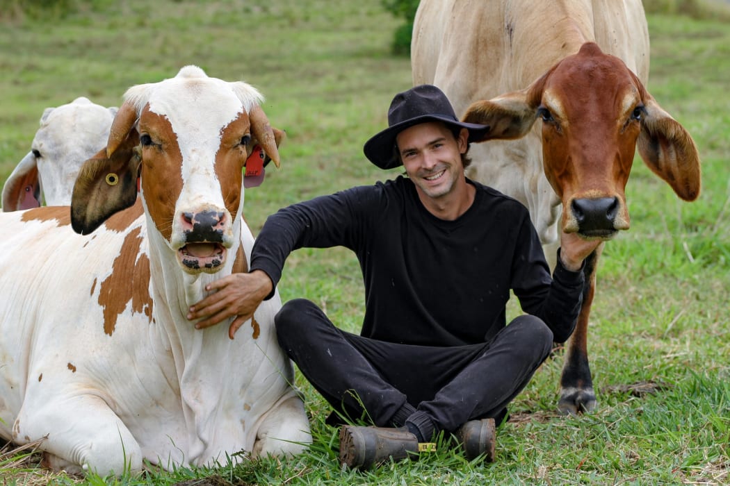 Cow cuddling as a therapy on offer in Australia | RNZ