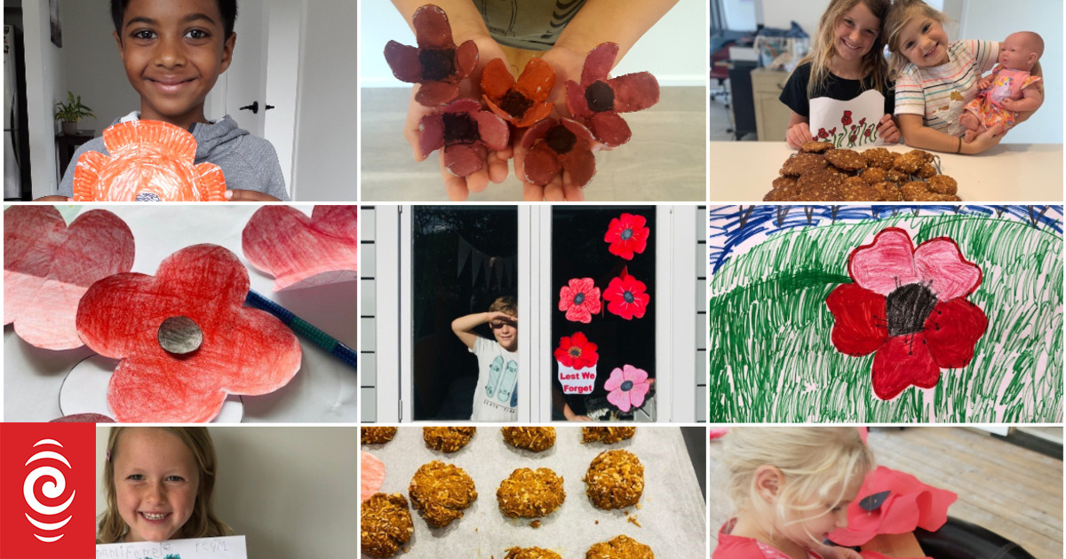 Anzac Day activities to do with kids at home | RNZ News