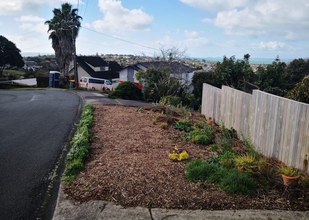 Auckland Transport orders roadside berm plantings to be removed | RNZ News