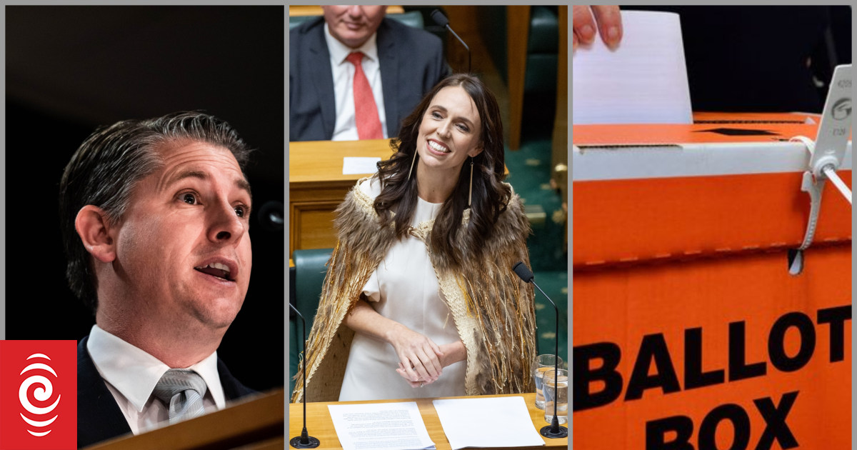 Political commentators Gareth Hughes & Ben Thomas | RNZ