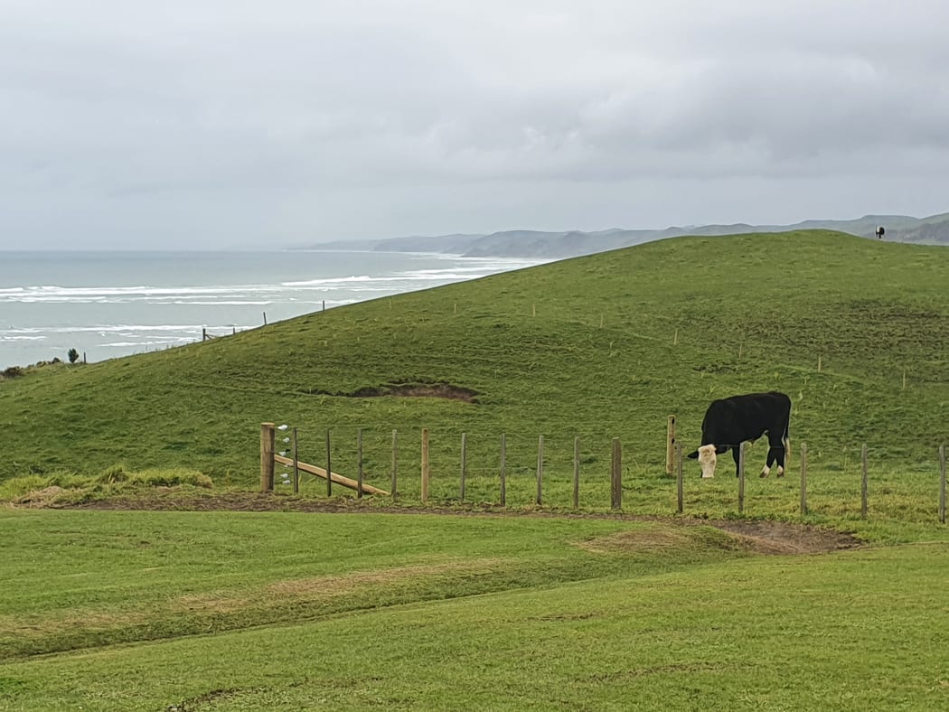 On The Farm: What's happening in rural New Zealand | RNZ