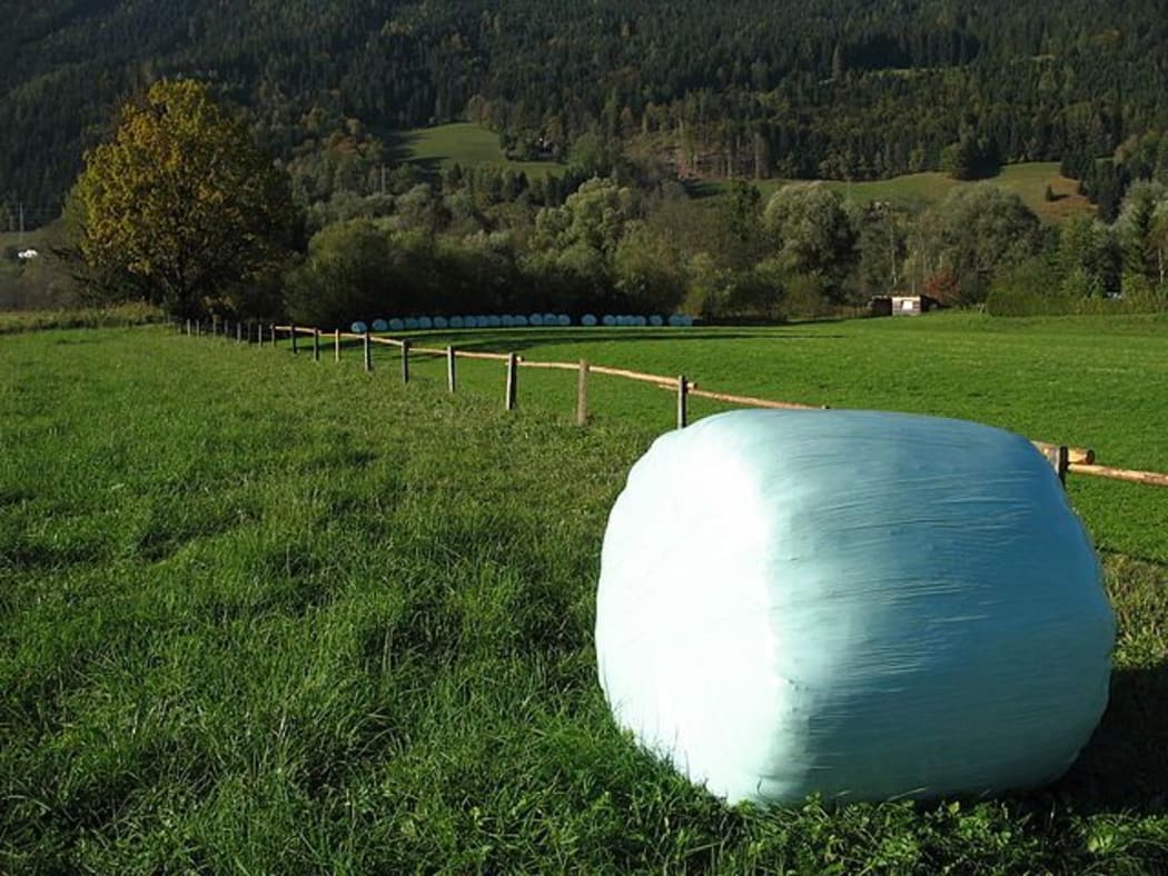 Edible hay bale wrapping | RNZ