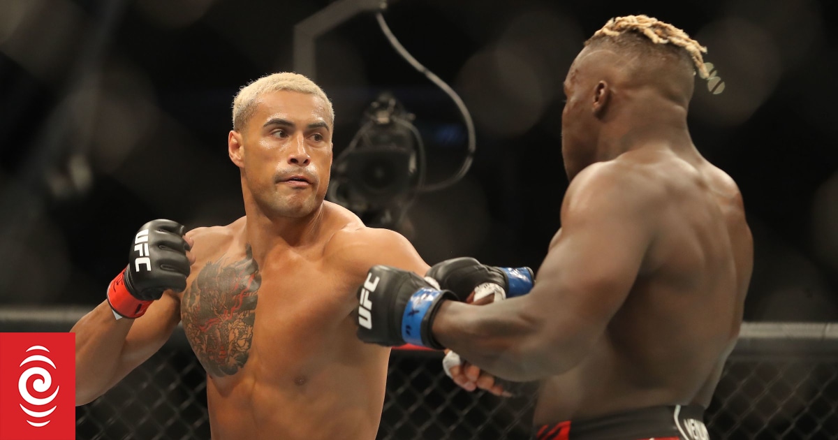 UFC 293: The Kiwis on the card | RNZ News
