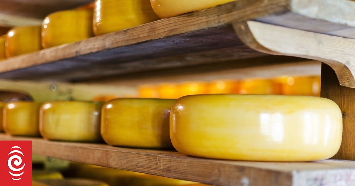 A nation of tall cheese-eaters | RNZ News