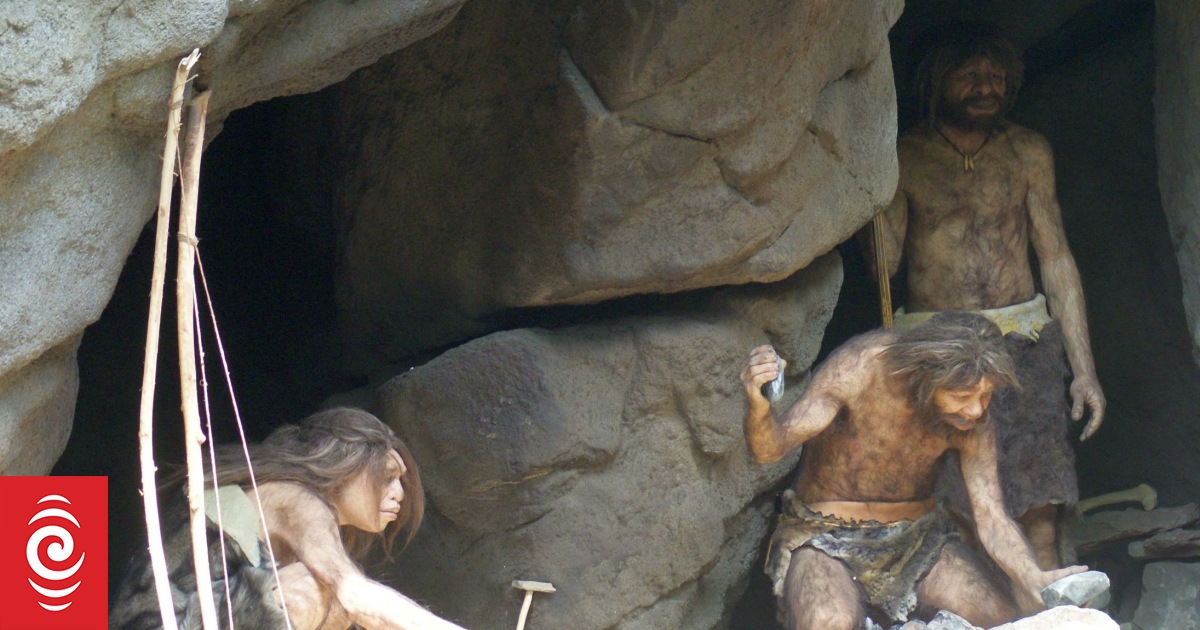 New book sheds light on Earth's other humans | RNZ