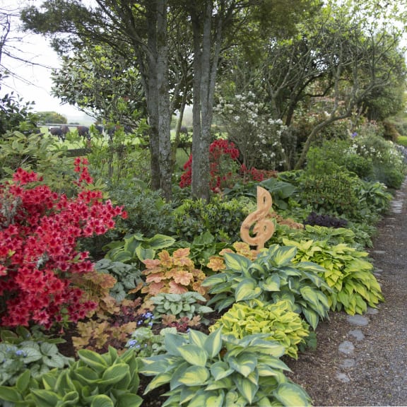 The Taranaki Garden Spectacular show | A Gallery from News | RNZ